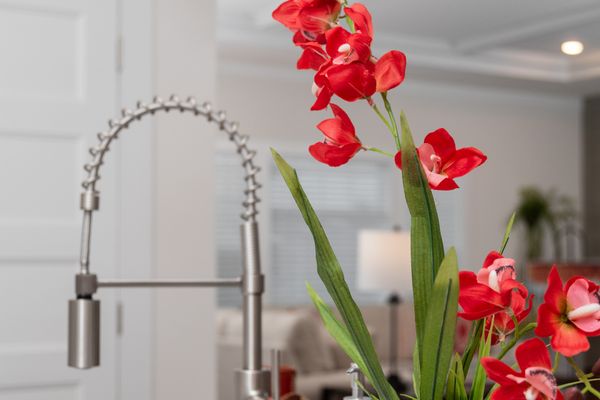 1439 Carolina "Magnolia" | Clayton Homes